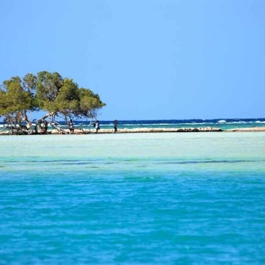 Hankorab Beach, Egypt’s Hidden Paradise, Under Threat of Destruction ...