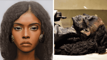 Queen Tiye's Hair Care Routine: How you can keep your hair healthy for ...